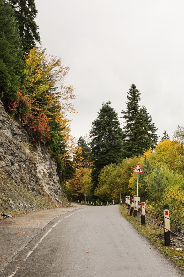 The Photo Shows a Winding Asphalt Road Cutting through a Lush Green and ...