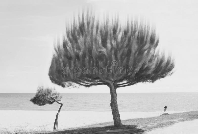 European Beach stock photo. Image of ocean, beach, white - 136816480