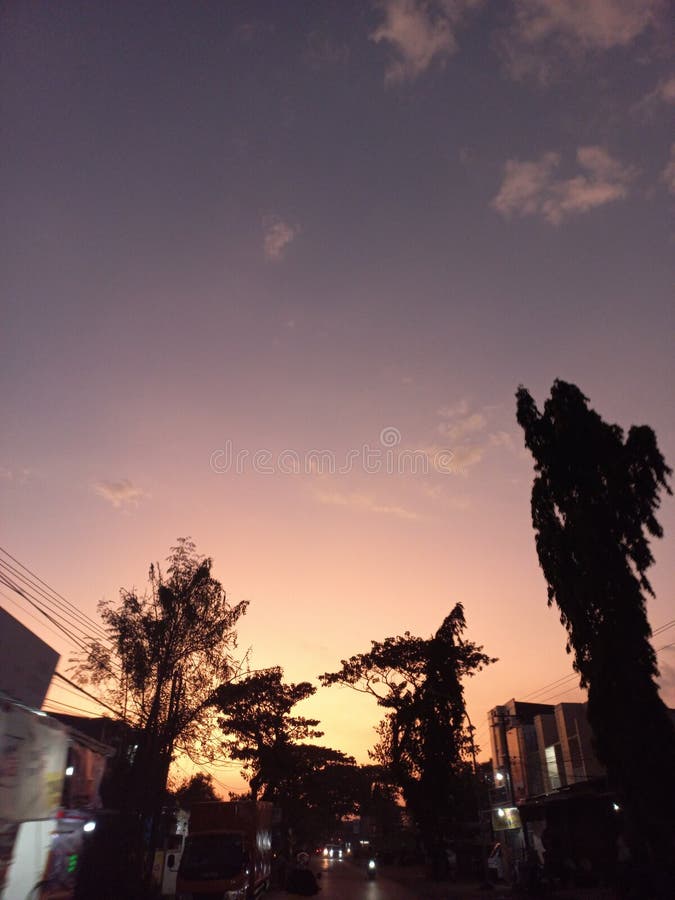 Trees and the Evening Sky is Orange Stock Image - Image of orange ...