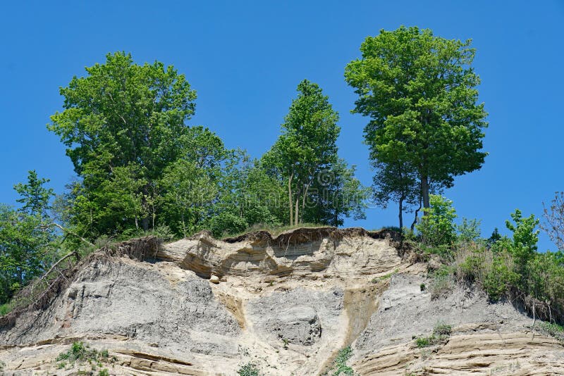 Exposed Roots of Tree Uprooted by Flooding Stock Photo - Image of ...
