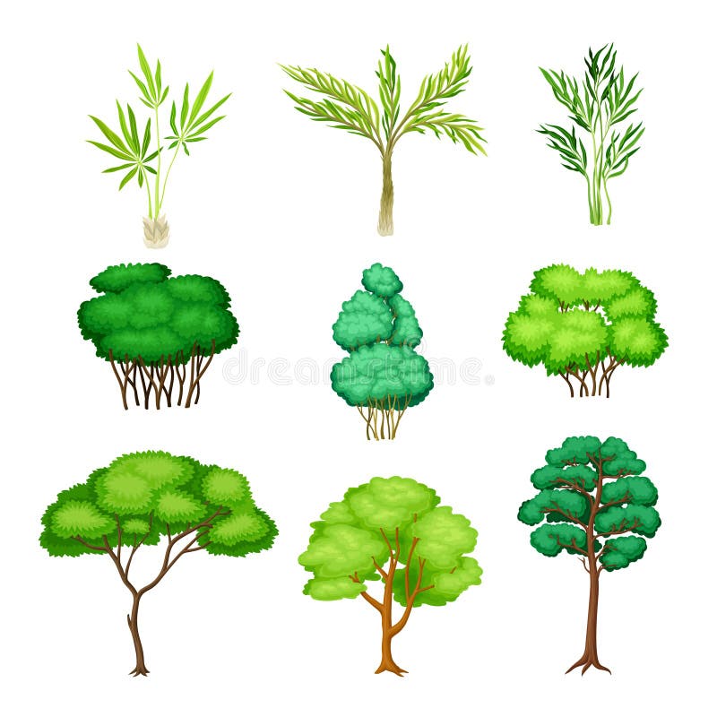 Trees with Exuberant Green Foliage and Trunk Vector Set Stock Vector ...