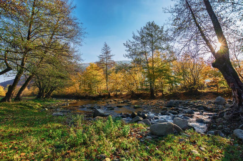 Trees Fall Colors on the Shore of a Mountain Stream Stock Photo - Image ...