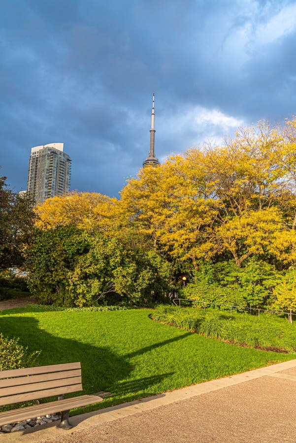 Trees at fall stock image. Image of tree, city, fall - 262559257