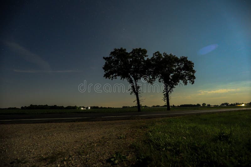 Trees in a Farm in a Bright Night Stock Image - Image of fall, ground ...