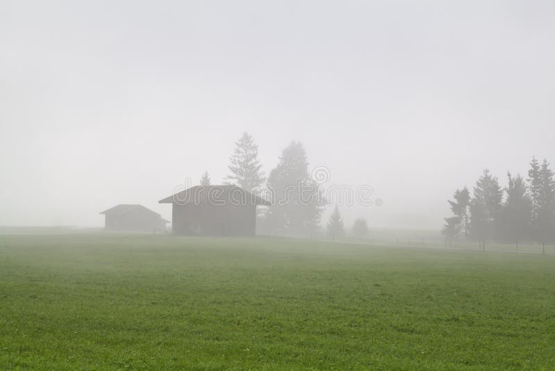 Trees and farms in fog stock photo. Image of green, home - 27640432