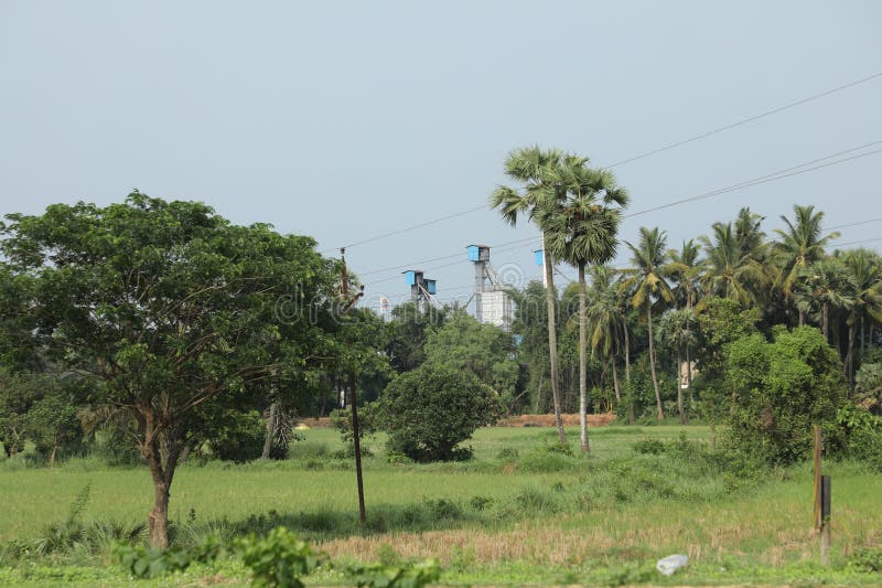 Trees Field and Garden Rural Area India Stock Image - Image of farmer ...