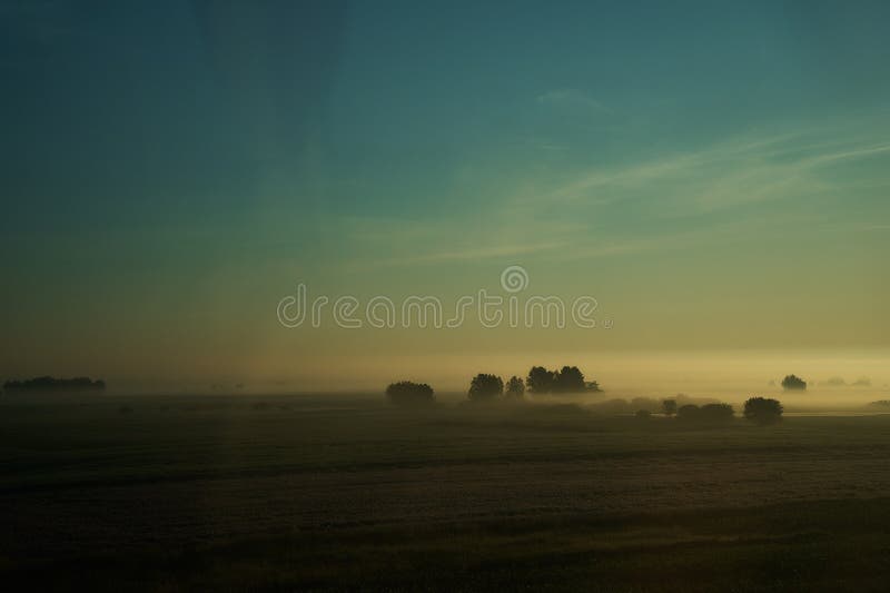 Trees in a Field Shrouded in Fog at Dawn from a Bus Window Stock Photo ...