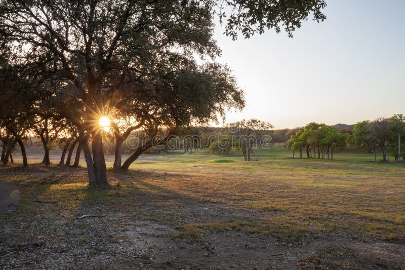 Trees in a Field with Walking Paths in the Texas Hill Country at ...