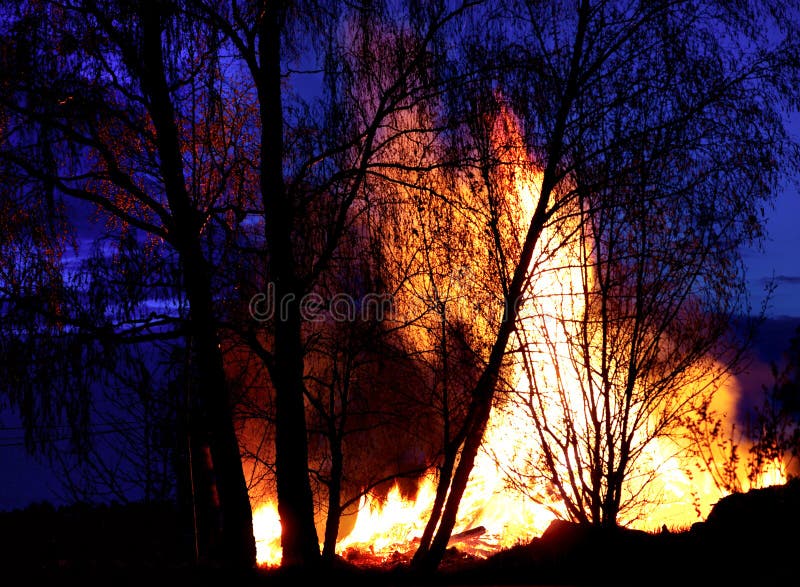 Trees on fire stock image. Image of inferno, yellow, devastating - 24566883