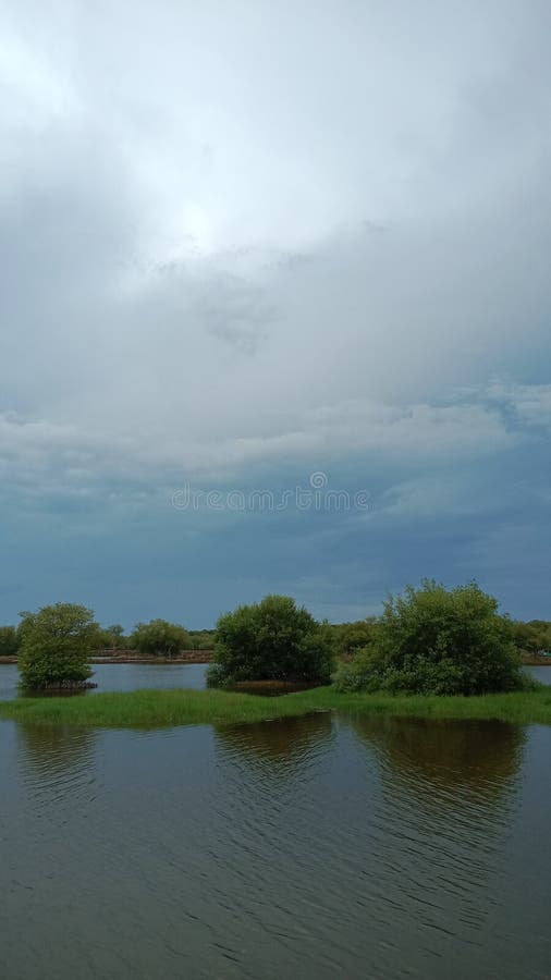 Trees Floating Above the Pond Add Beauty in the Afternoon Stock Photo ...