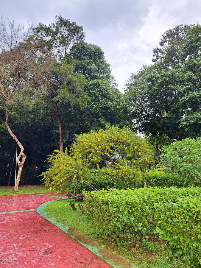 Trees and Flower Garden with Fresh Environment at Ayer Keroh Stock ...