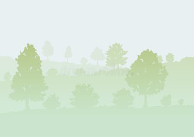 Trees in a fog stock vector. Illustration of meadow, bushes - 7613416