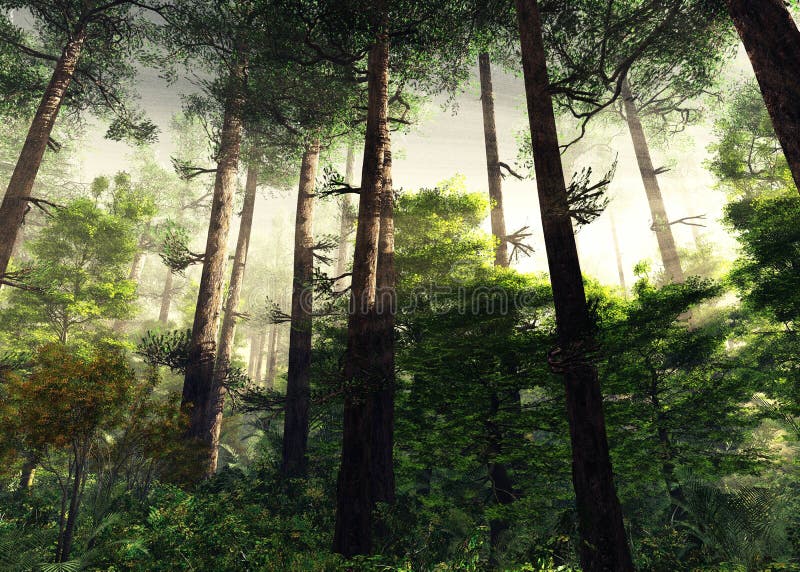 Forest in the Rays of the Setting Sun in the Fog Stock Illustration ...