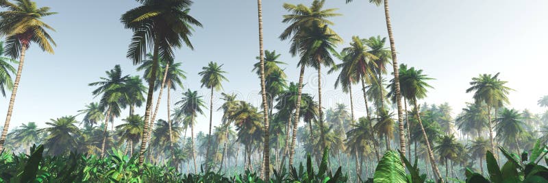 Trees in the Fog, Forest ,HDRI, Environment Map , Round Panorama Stock ...