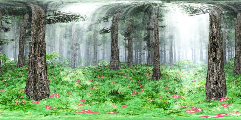 Trees in the Fog, Forest ,HDRI, Environment Map , Round Panorama Stock ...
