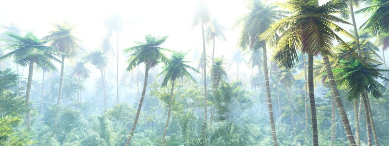 Trees in the Fog. the Smoke in the Forest in the Morning Stock ...