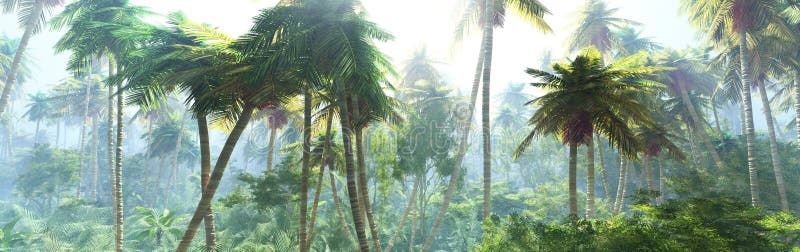 Trees in the Fog. the Smoke in the Forest in the Morning Stock ...