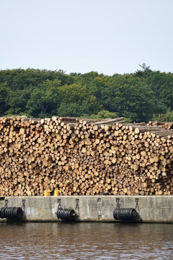 The Trees are Folded in the Port, Ready for Loading on Board Stock ...