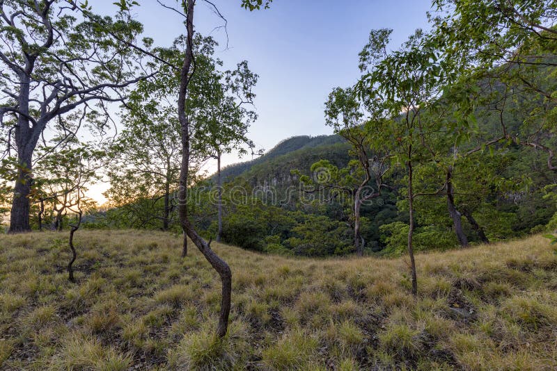 Dawn View of a Volcanic Forest Stock Photo - Image of gunung, maumere ...