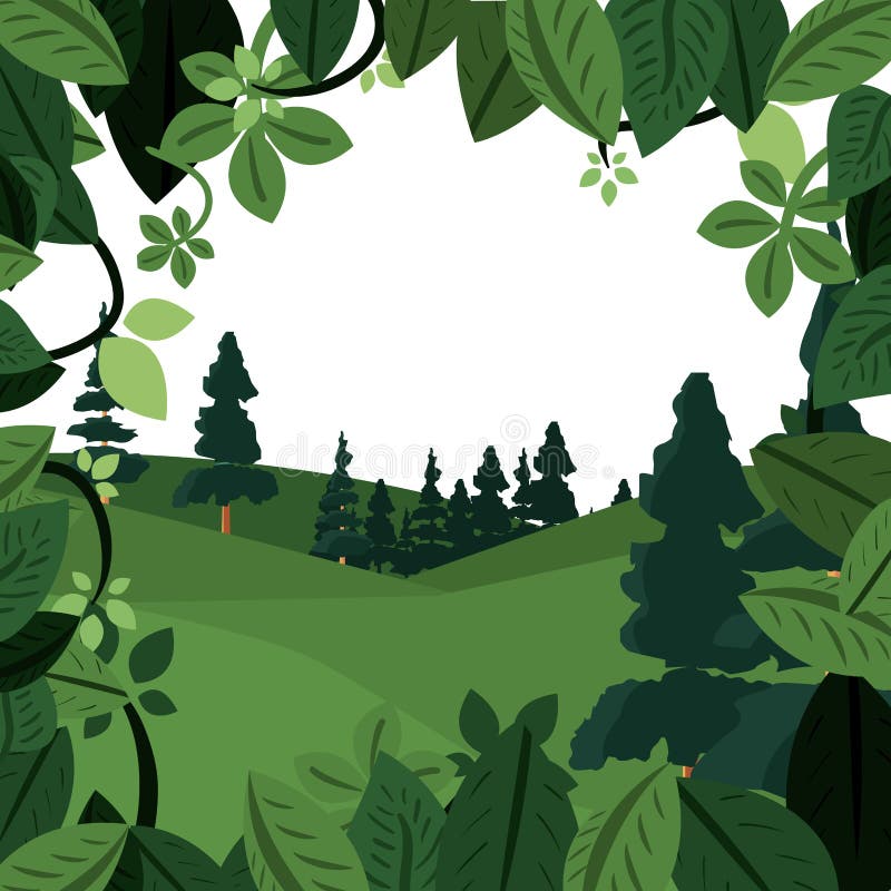 Trees Forest Night Stars Night Natural Landscape Stock Illustration ...