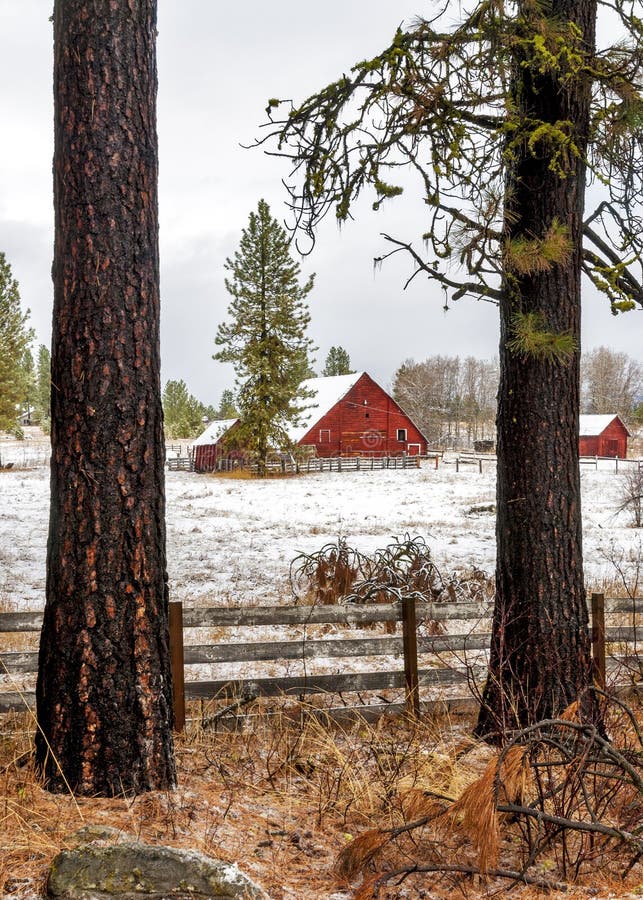 Red Barn on Snowy Winter Hill Under a Blue Sky Stock Photo - Image of ...