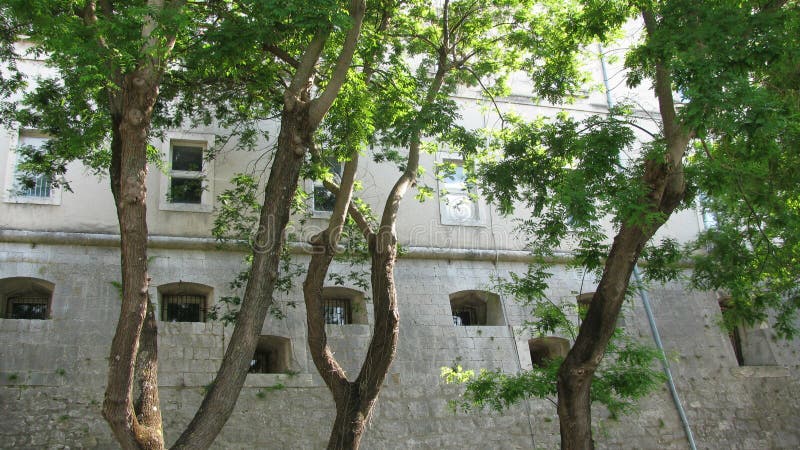 The Trees and the Fortress stock image. Image of windows - 116362991