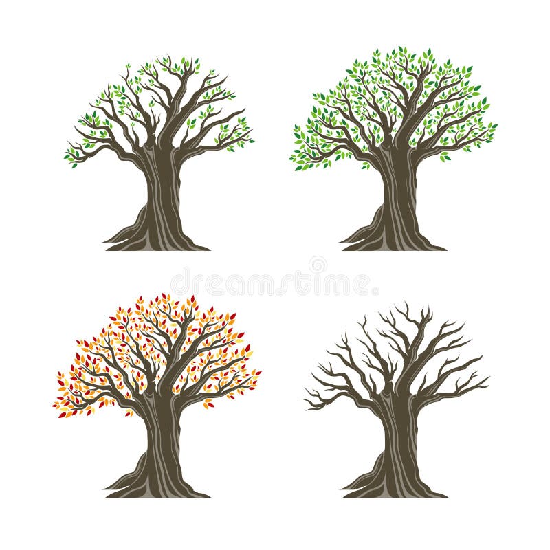 Seasons Decorative Tree, Vector Stock Vector - Illustration of flower ...