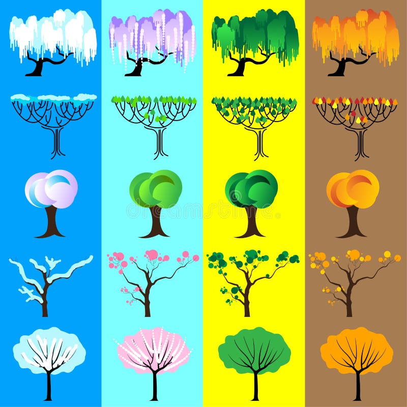 Trees of Four Seasons / Vector Stock Vector - Illustration of floral ...