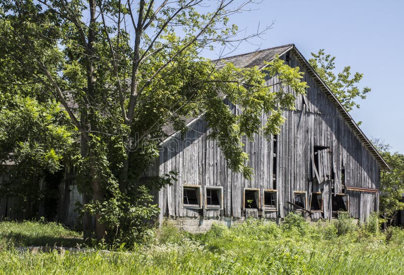 Trees Frame an Aging, Wooden Barn in a Rural Area. Stock Image - Image ...
