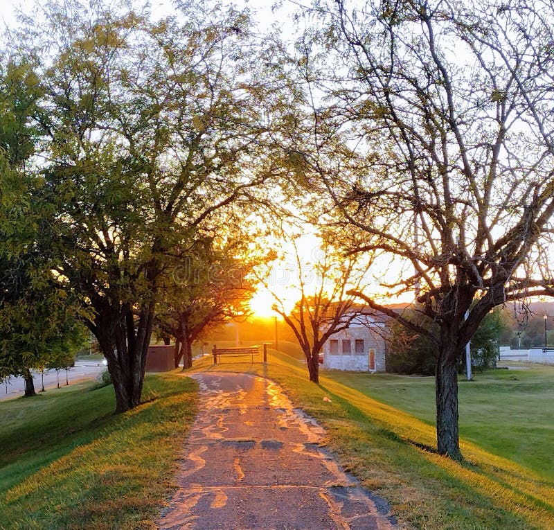 Trees framing the sun stock image. Image of tree, meadow - 261677745
