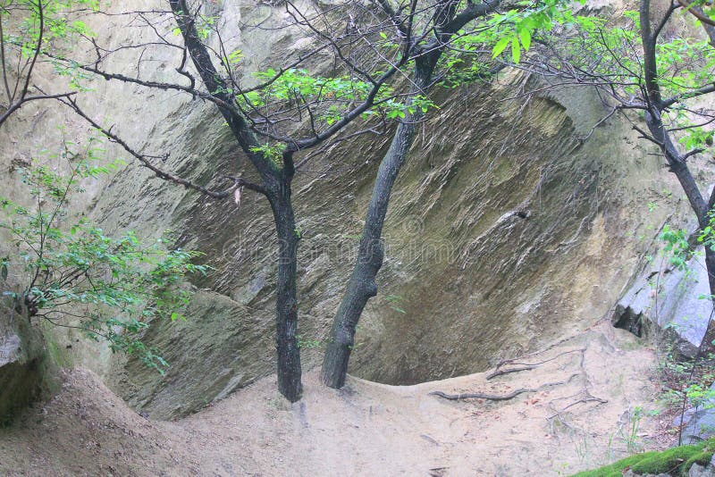 Trees in front of a quarry stock image. Image of mineral - 189255405