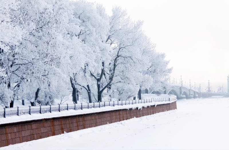 Trees in Frost and Neva River Stock Image - Image of troitsky, tree ...