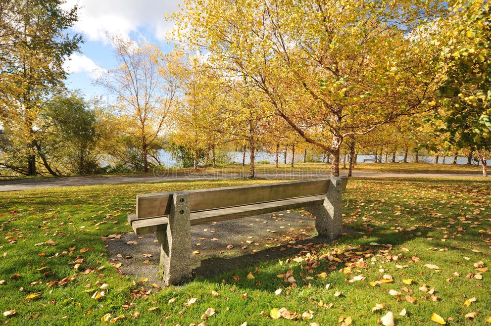 Trees Full of Fall Colors in a Field Stock Photo - Image of trees, fall ...