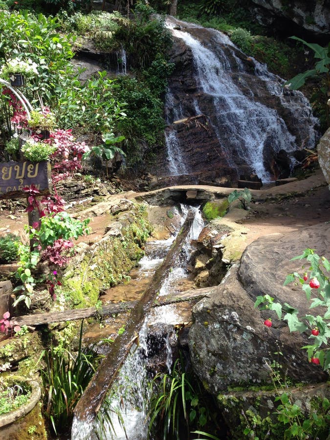 Water fall stock image. Image of waterfall, trees, garden - 102793983
