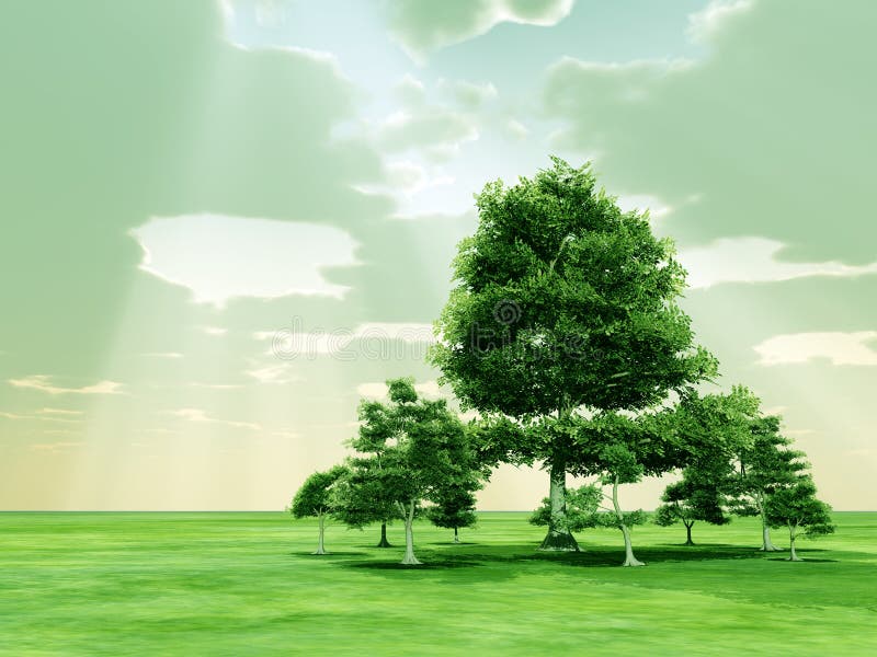 Trees in the god rays stock illustration. Illustration of horizon ...