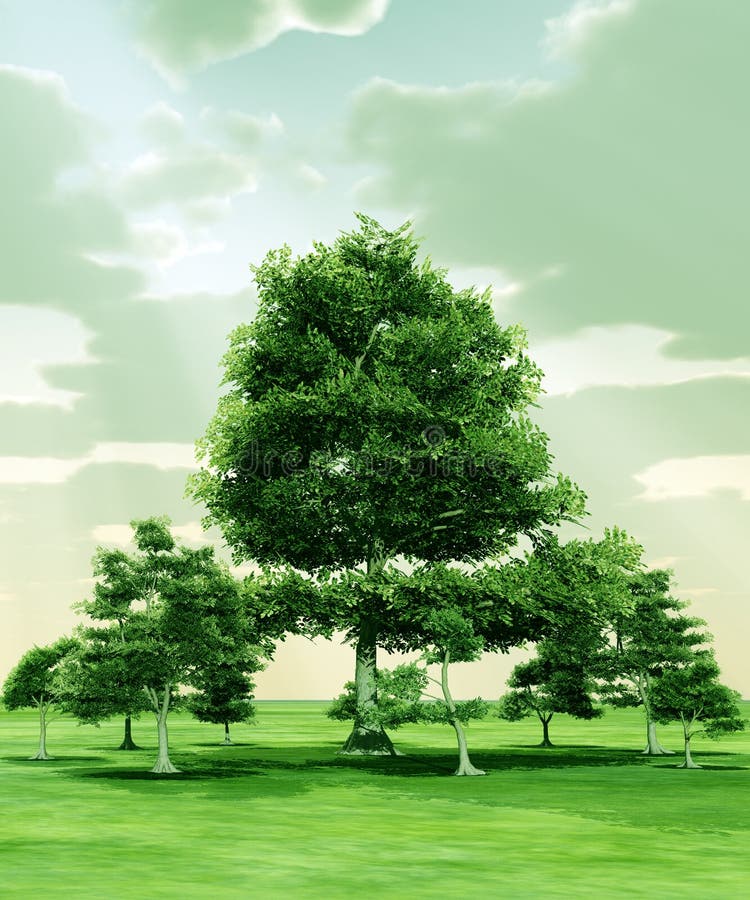 Trees in the god rays stock illustration. Illustration of nature - 12350197