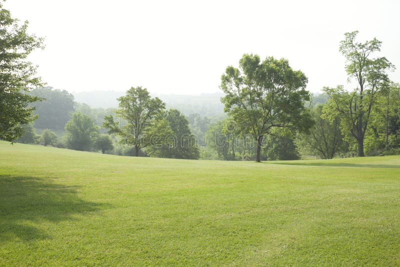 Trees and Grass Overlooking Misty Valley in the Morning Stock Photo ...