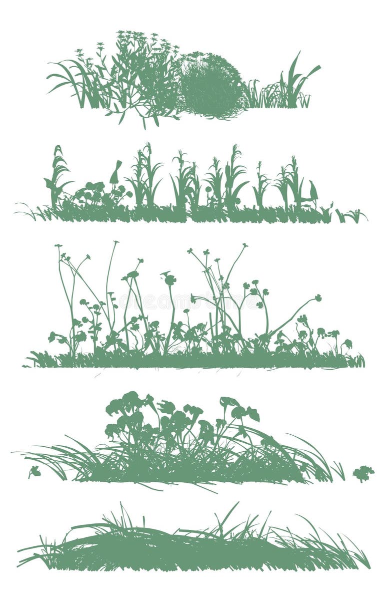 Root Grass Stock Illustrations – 7,429 Root Grass Stock Illustrations ...