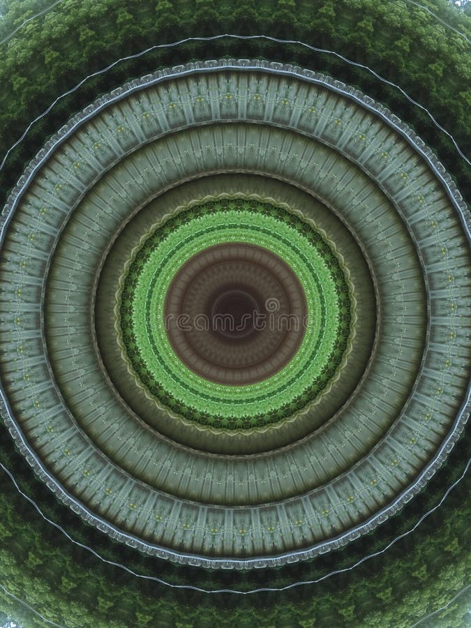 Spinning forest stock photo. Image of spinning, trees - 120442766