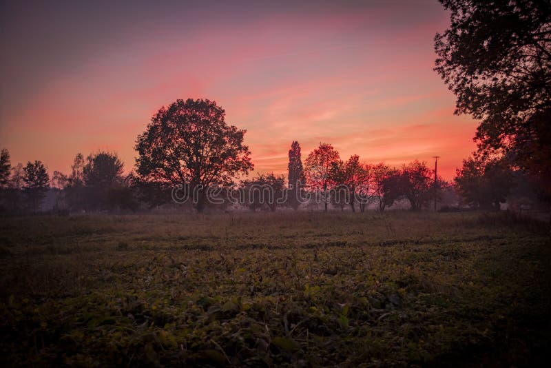 Trees on Green Field. Late Evening Autumn Sunset Stock Image - Image of ...