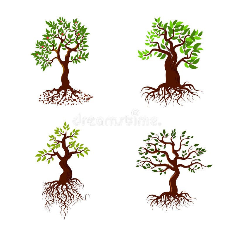 Trees with Green Leaves and Roots Vector Tree Planting Collection Stock ...