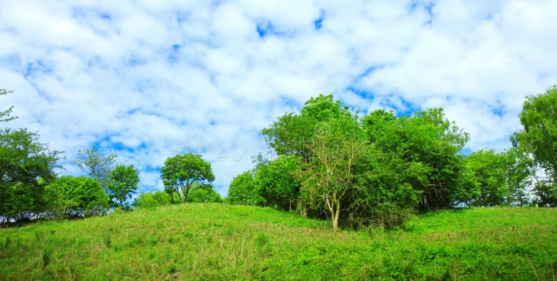 Trees on a green meadow stock image. Image of ecology - 147201953