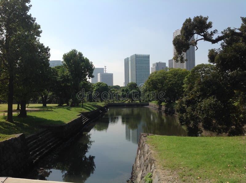 Trees in a Green Park in Tokyo Editorial Photography - Image of tokyo ...