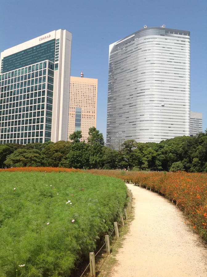 Trees in a Green Park in Tokyo Editorial Image - Image of facade ...