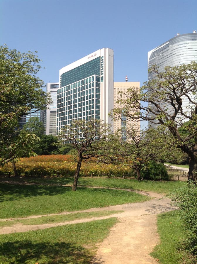Trees in a Green Park in Tokyo Editorial Photography - Image of ...