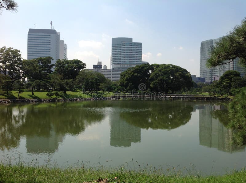 Trees in a Green Park in Tokyo Editorial Stock Photo - Image of park ...