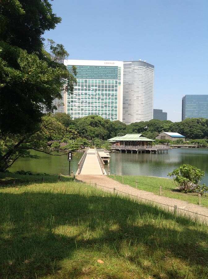 Trees in a Green Park in Tokyo Editorial Photo - Image of grass ...