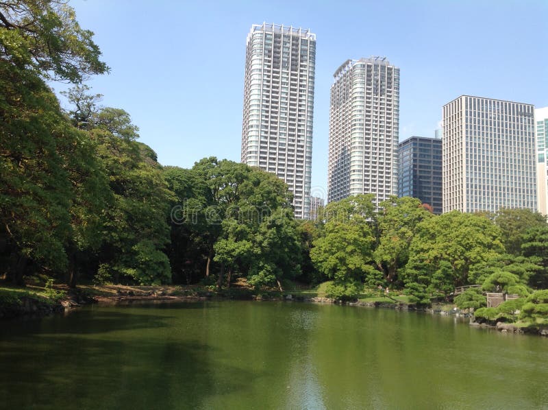 Trees in a Green Park in Tokyo Editorial Stock Image - Image of garden ...