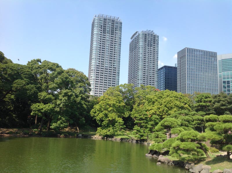 Trees in a Green Park in Tokyo Editorial Stock Photo - Image of lake ...