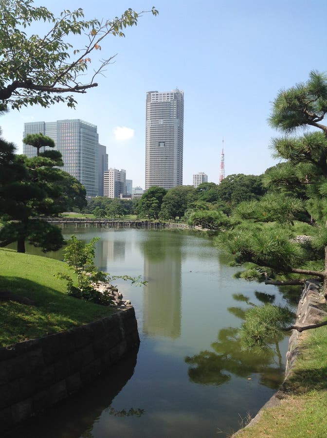 Trees in a Green Park in Tokyo Editorial Stock Image - Image of green ...